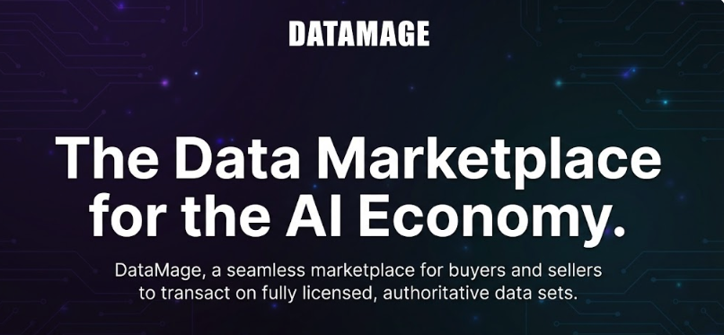 DataMage | AI Data Marketplace